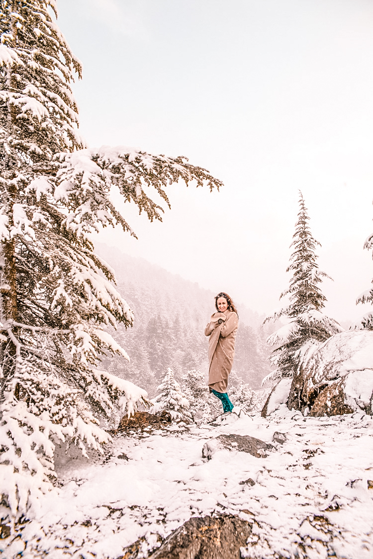 Spending the Winter in Cyprus: A Guide by a Local