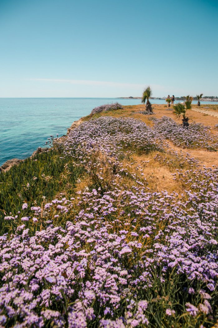 A Guide by a Local: How to Spend a Day in Kato Paphos