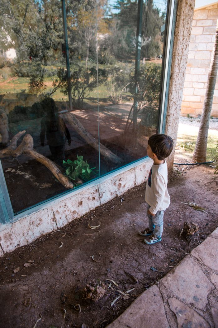 A Day Trip to Paphos ZOO, Cyprus